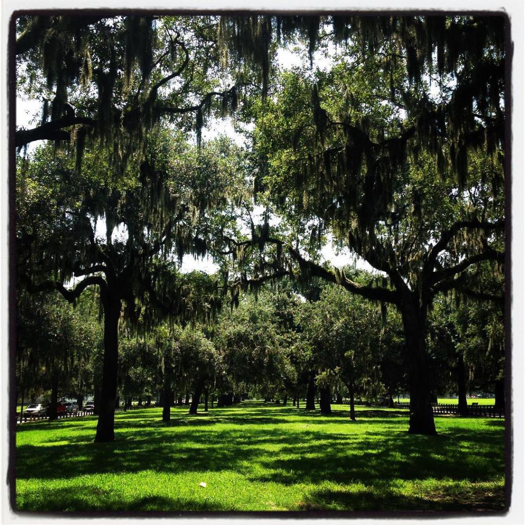 Backyard History: Daffin Park – Savannah Archaeological Alliance